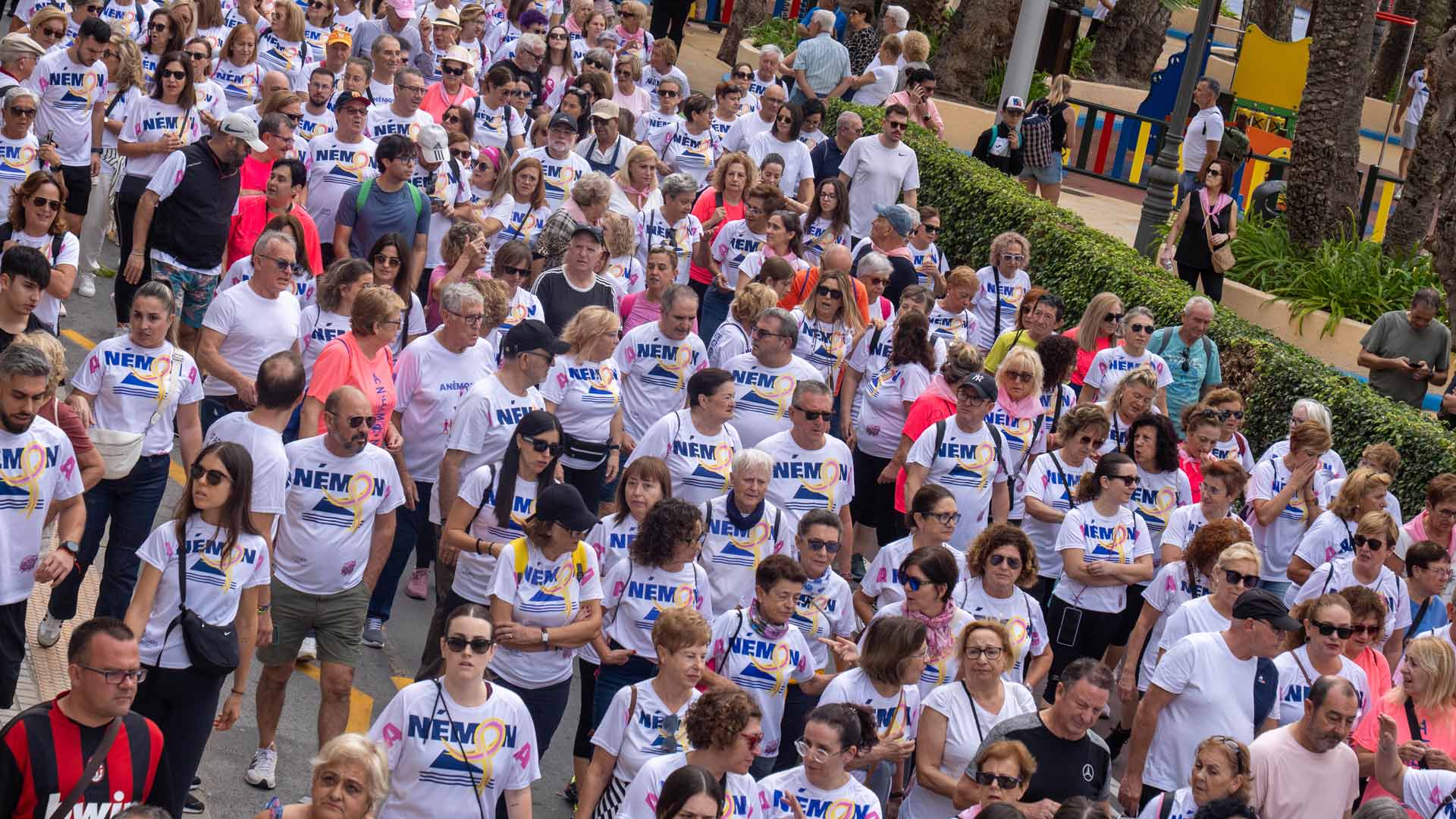 Whiter than ever, Anémona's 'pink tide' sweeps through Benidorm in ...