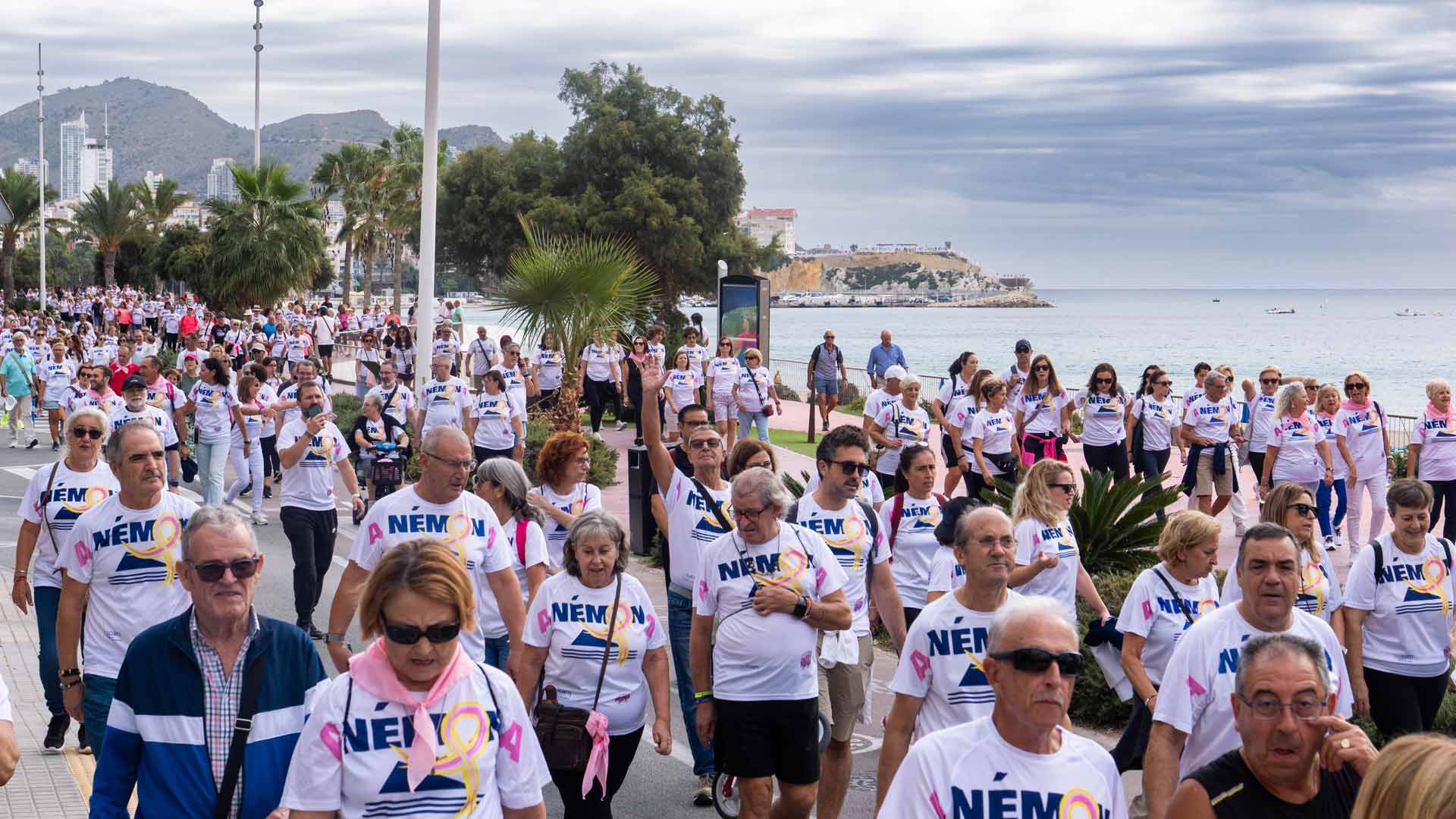 Whiter than ever, Anémona's 'pink tide' sweeps through Benidorm in ...