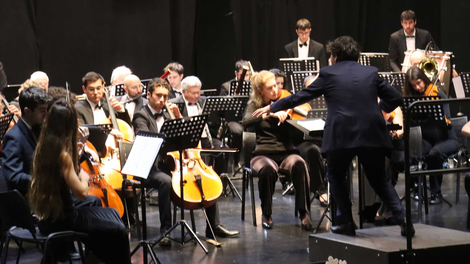 The Musical Union Symphony Orchestra welcomes the New Year in Benidorm ...
