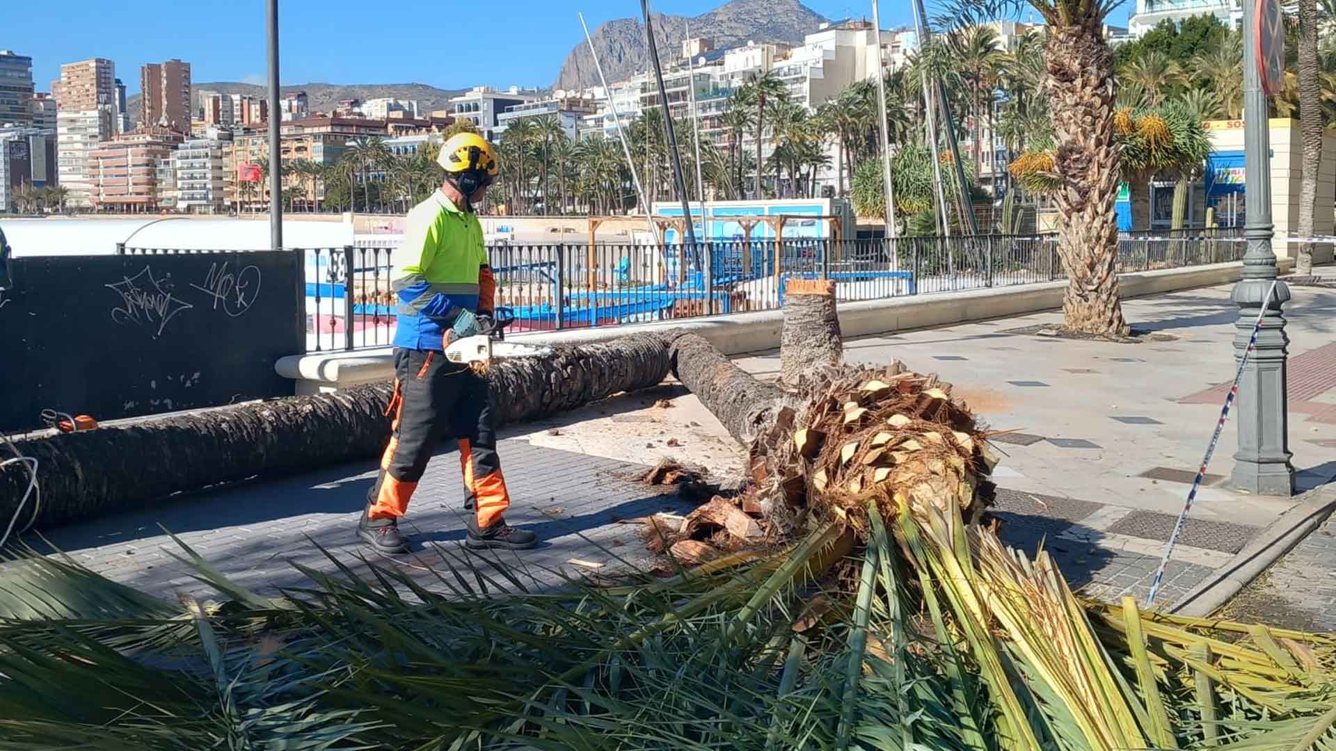 Benidorm emerges from the recent wind episode without any major ...
